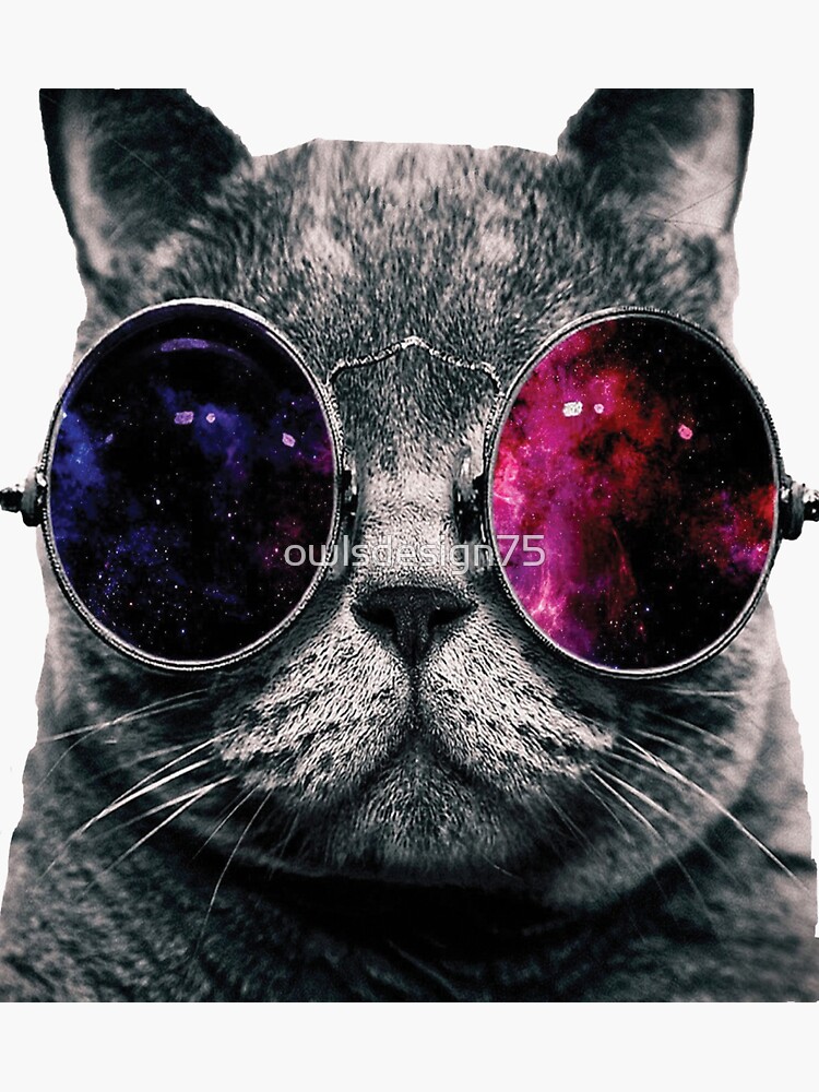"Funny cat with glasses" Sticker for Sale by owlsdesign75 | Redbubble