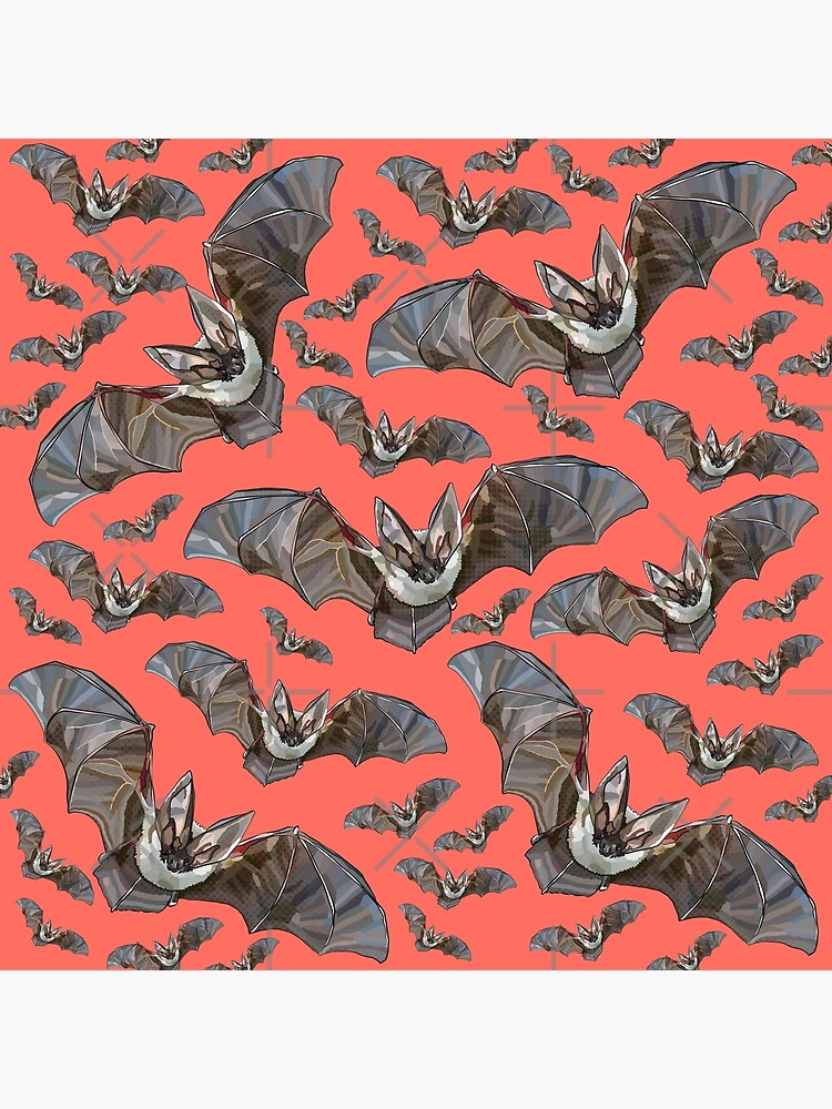 Coral Bats by BeeFoxTree, Long Eared Bats Premium Matte Vertical Poster ...