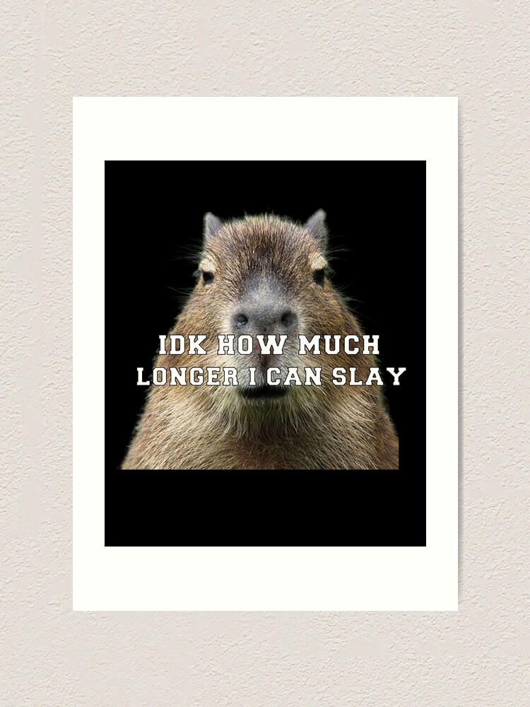 "Idk How Much Longer I Can Slay Capybara Sarcastic Dank Meme Quote ...