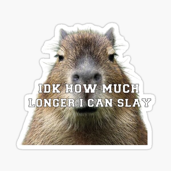 "Idk How Much Longer I Can Slay Capybara Sarcastic Dank Meme Quote ...