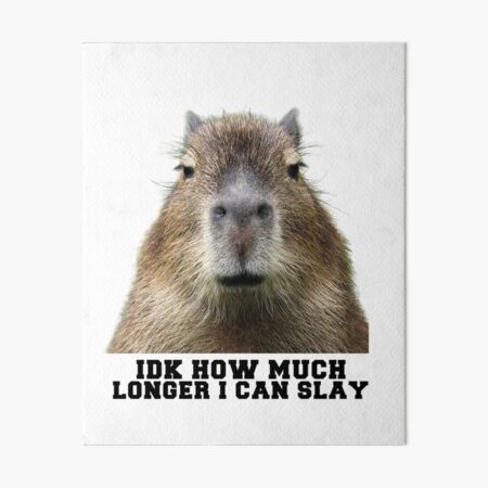 "Idk How Much Longer I Can Slay Capybara Sarcastic Dank Meme Quote ...