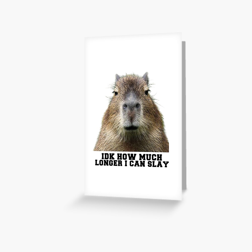 "Idk How Much Longer I Can Slay Capybara Sarcastic Dank Meme Quote ...