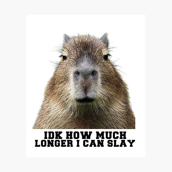 "Idk How Much Longer I Can Slay Capybara Sarcastic Dank Meme Quote ...
