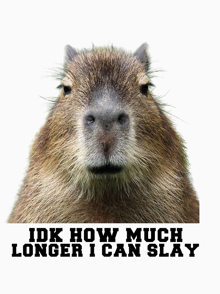 "Idk How Much Longer I Can Slay Capybara Sarcastic Dank Meme Quote ...