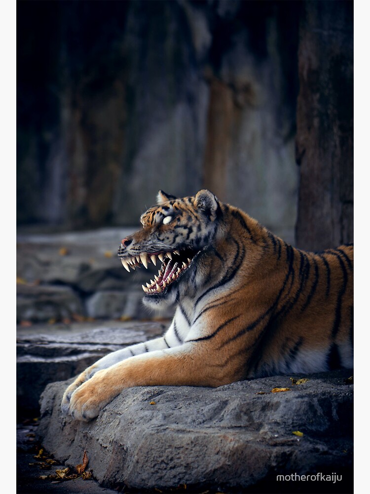 "Tiger Monster" Sticker for Sale by motherofkaiju | Redbubble