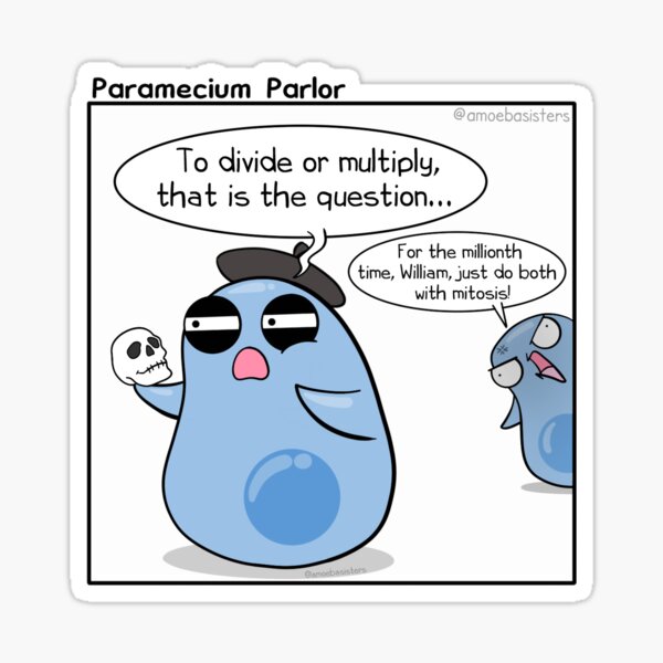 "To Divide or Multiply" Sticker for Sale by amoebasisters | Redbubble