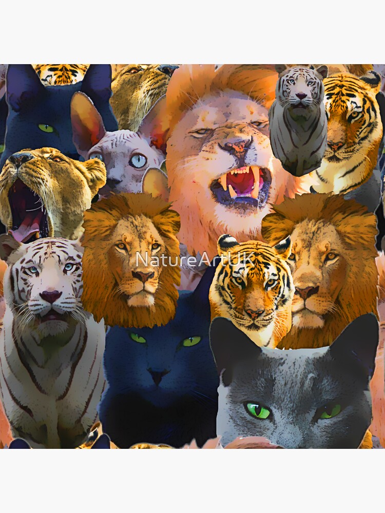 "Big cat small cat collage " Sticker for Sale by NatureArtUK | Redbubble