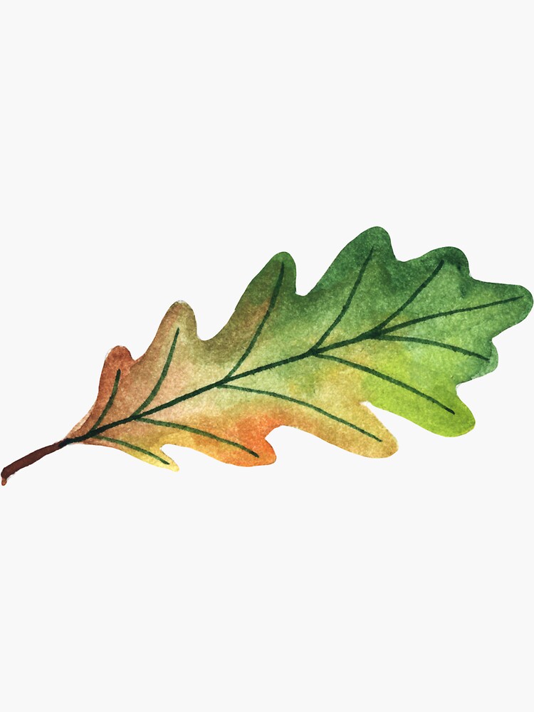 "Oak Tree Leave " Sticker for Sale by JS-space | Redbubble