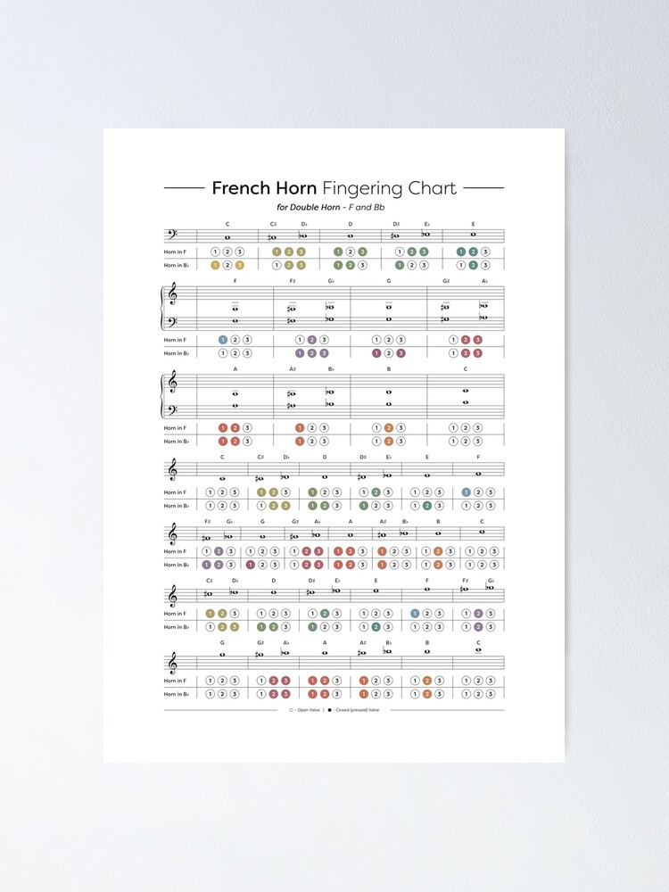 "French Horn Fingering Chart" Poster for Sale by pennyandhorse | Redbubble