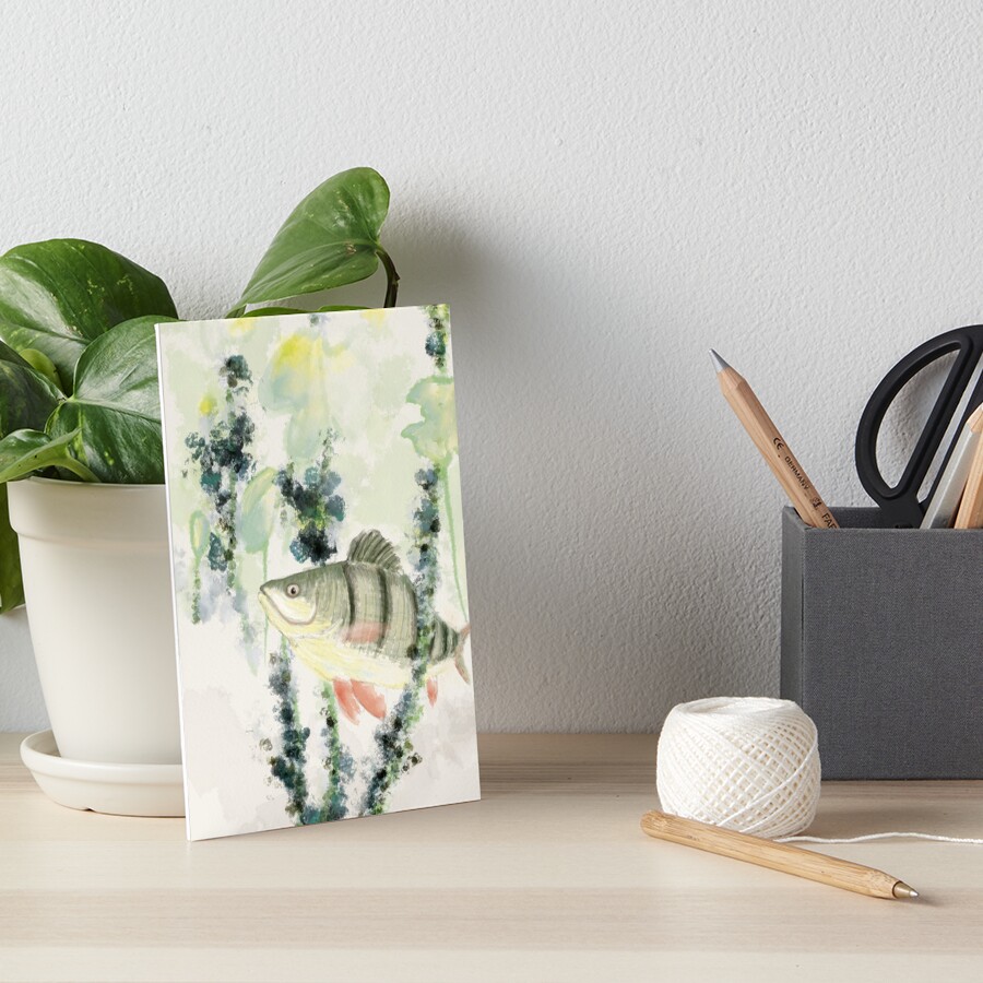 "Redfin Perch" Art Board Print for Sale by LittleCloudShop | Redbubble