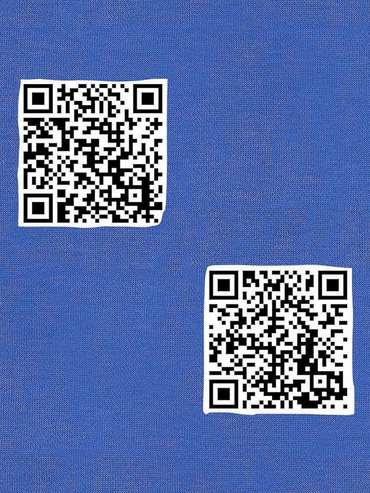 "tommyinnit jump in the cadillac and wilbur soot your new boyfriend qr codes two pack ...