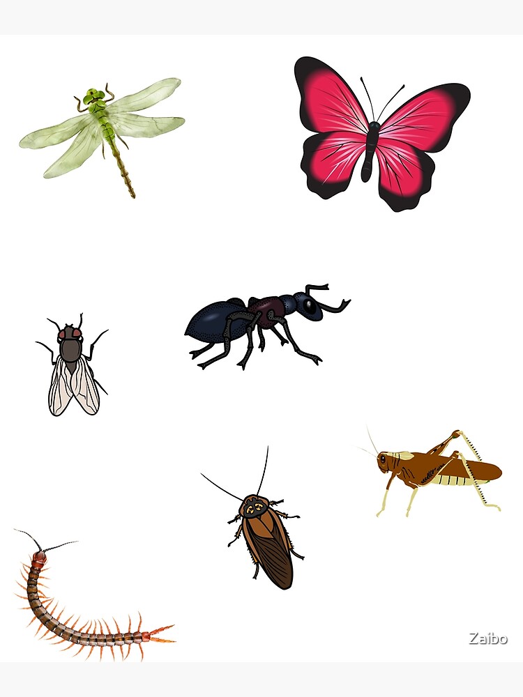 "bug friends" Poster for Sale by Zaibo | Redbubble