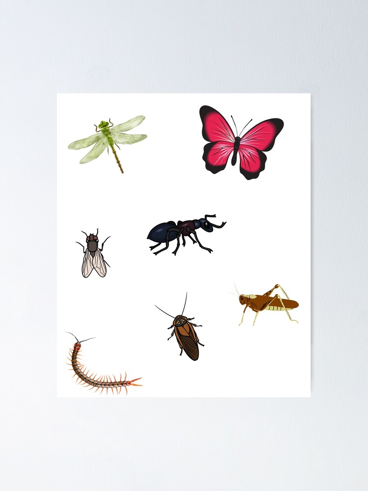 "bug friends" Poster for Sale by Zaibo | Redbubble