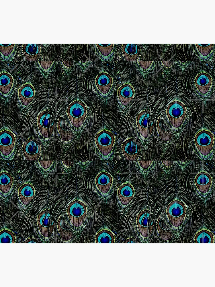 Peacock feathers, bird lover gifts, cool bird outfits, beautiful ...