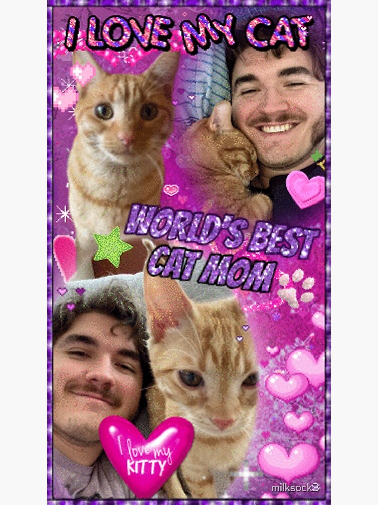 "Jschlatt Jambo Cat Mom Gif Still" Poster for Sale by milksock3 | Redbubble