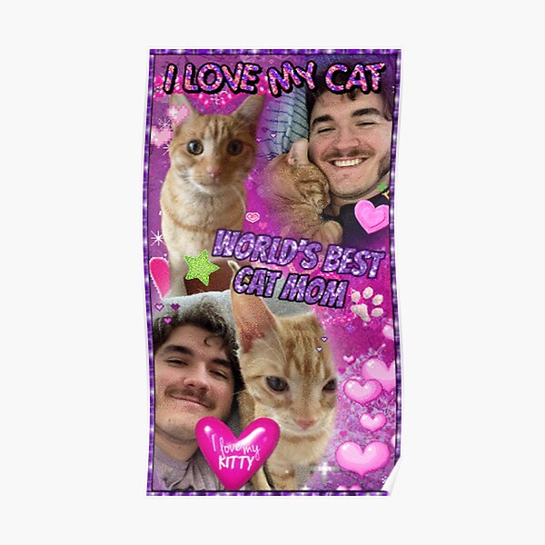 "Jschlatt Jambo Cat Mom Gif Still" Poster for Sale by milksock3 | Redbubble