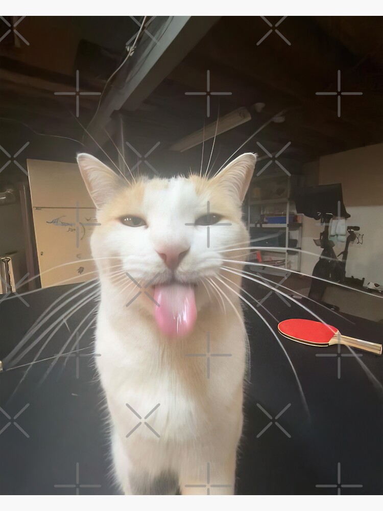 "Bleh Cat :P" Sticker for Sale by LuckyDesigner | Redbubble