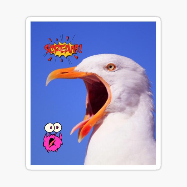 "Screaming seagull on blue background" Sticker for Sale by Mathews ...