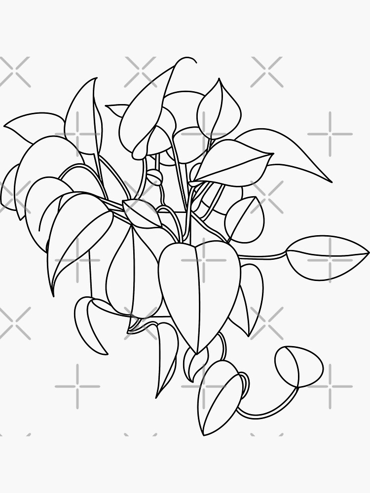 "Simple Pothos" Sticker for Sale by FromL-C | Redbubble