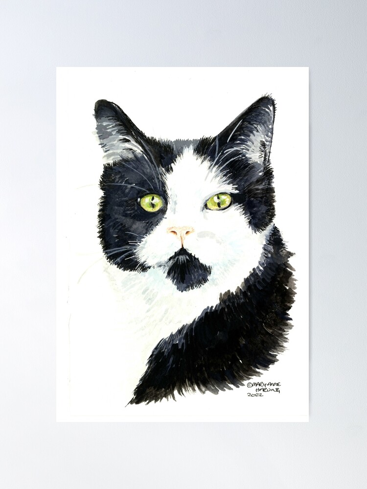Peinture Sur Le Visage D'un Chat Noir Et Blanc Comment Dessiner Des