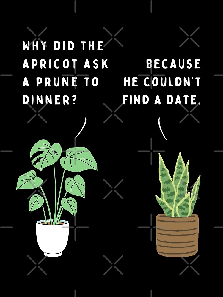 "Plant joke - Why did the apricot ask a prune to dinner? (colour ...