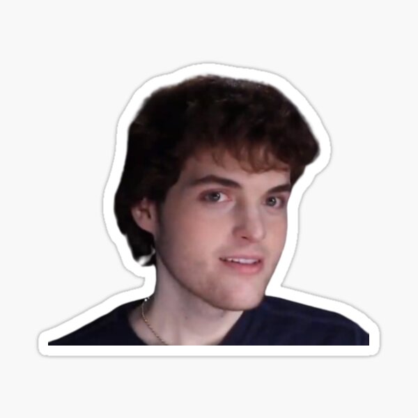 "Dream face reveal" Sticker for Sale by chagarshop | Redbubble