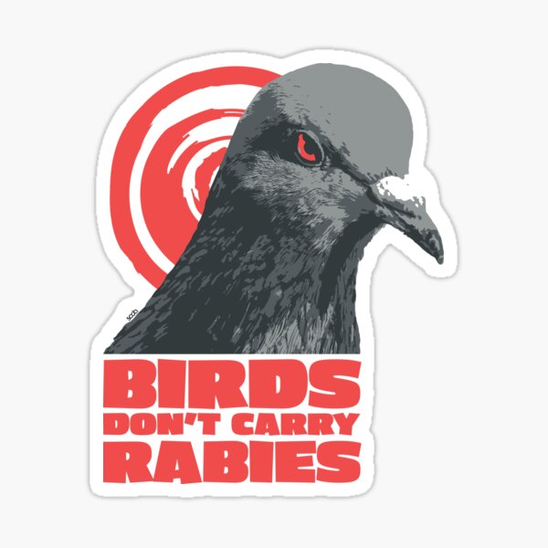 "Birds don't carry rabies" Sticker for Sale by Sean-Chinery | Redbubble