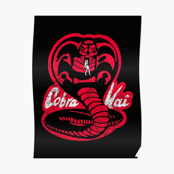 "snake karate kids" Poster for Sale by lilsalkaayy | Redbubble