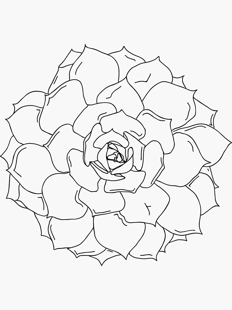 "succulent outline black and white plant" Sticker by tbootz | Redbubble