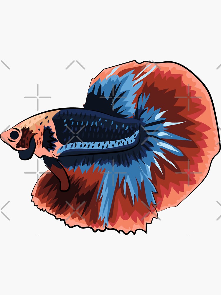 "beta fish kawaii" Sticker for Sale by Animster | Redbubble