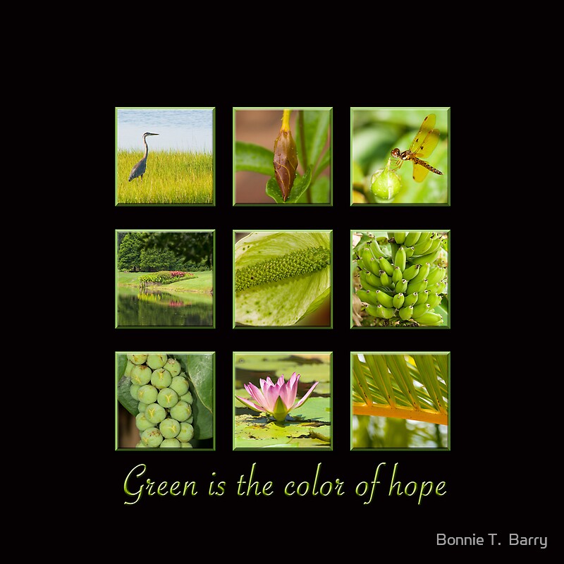 "Green is the color of hope" by Bonnie T. Barry | Redbubble