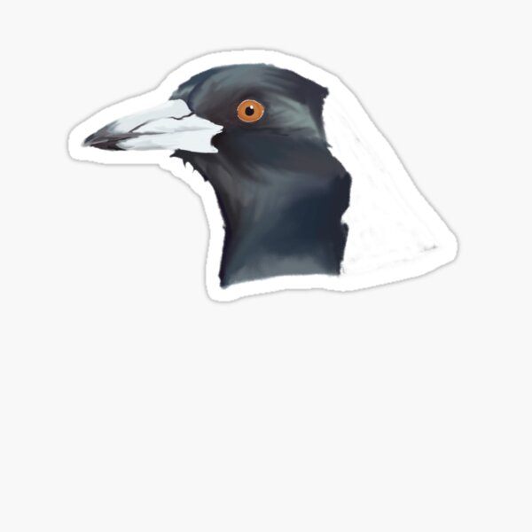 "Magpie" Sticker for Sale by bin-chicken-art | Redbubble