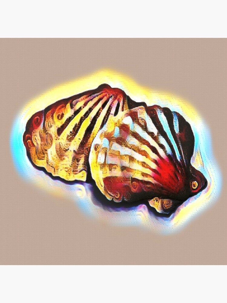 "Clam Sea Shell Rainbow Art" Sticker for Sale by RainbowLush | Redbubble