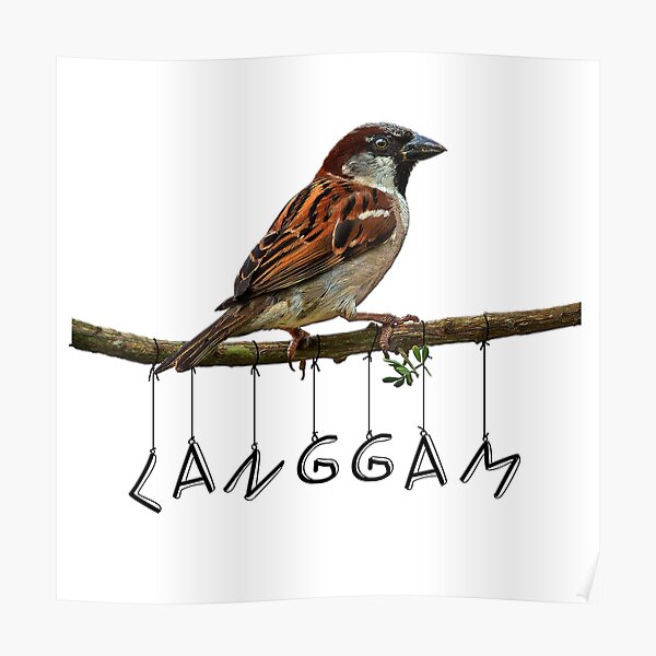 "flying langgam" Poster for Sale by chrisbolante | Redbubble