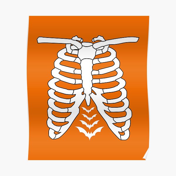 Halloween Skeleton Bones Rib Cage Adult X Ray Costume Halloween