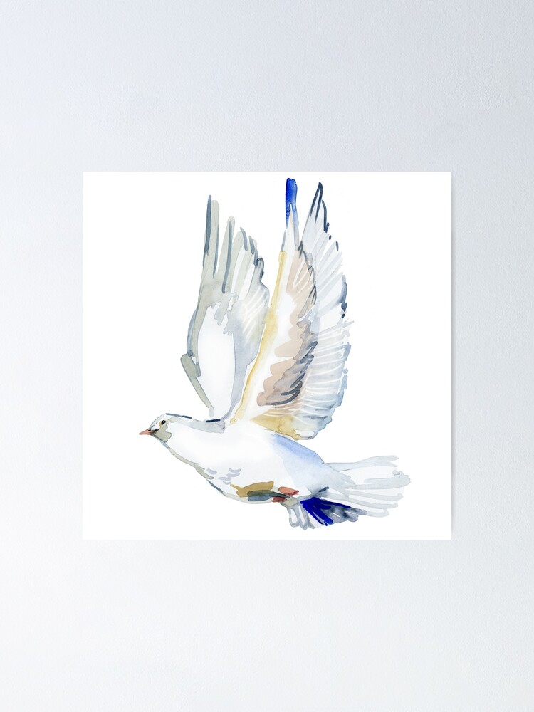 "white dove" Poster for Sale by FaenkovaAlena | Redbubble