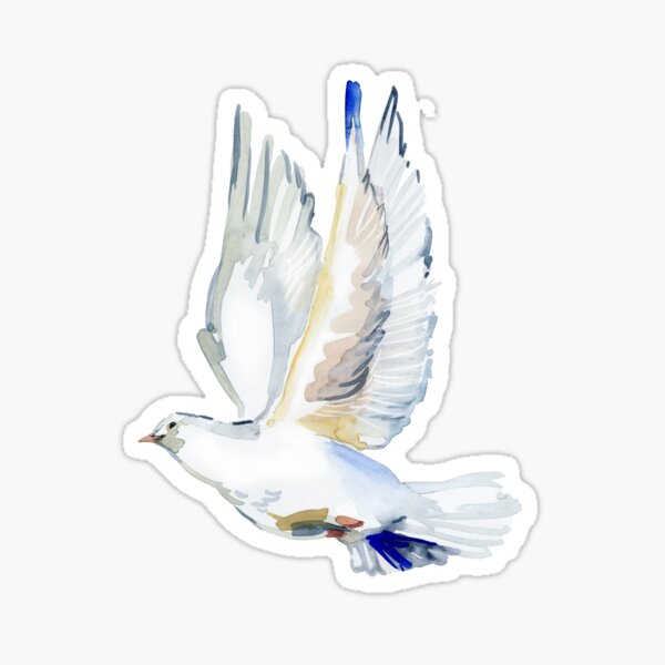 "white dove" Sticker for Sale by FaenkovaAlena | Redbubble