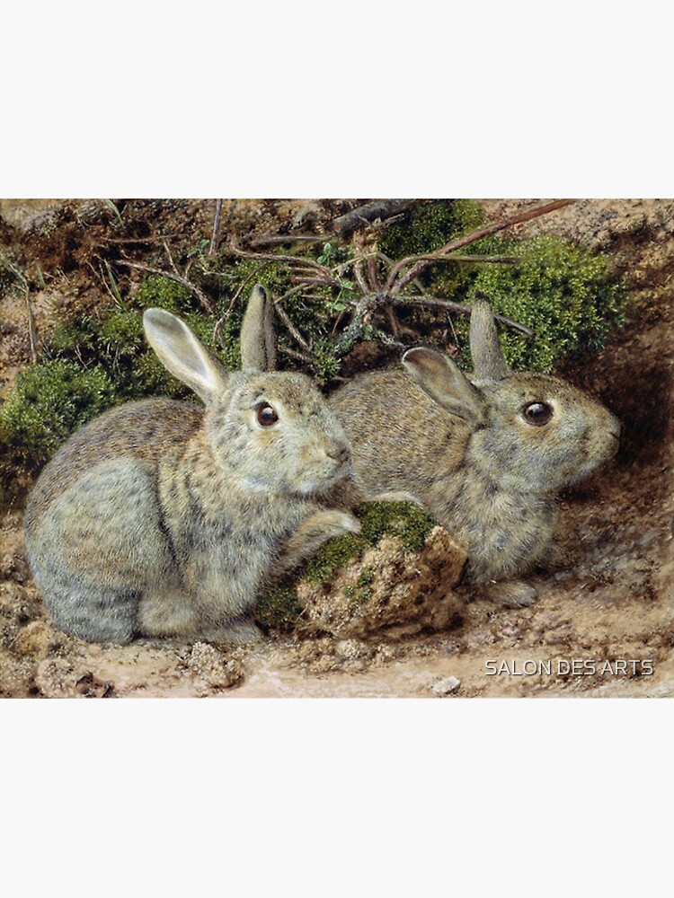 "Rabbits (19th century) - John Sherrin" Sticker for Sale by ...
