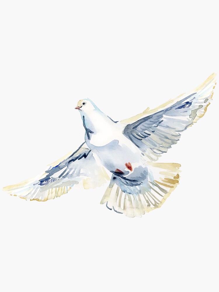 "white dove" Sticker for Sale by FaenkovaAlena | Redbubble