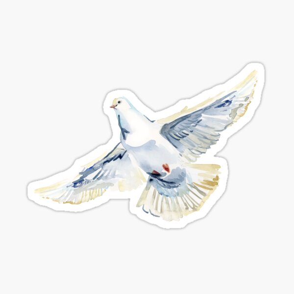 "white dove" Sticker for Sale by FaenkovaAlena | Redbubble