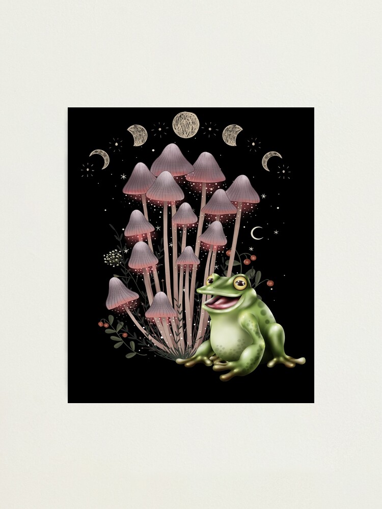 "Cottagecore Aesthetic Frog Mushroom Moon Phase Goblincore Shrooms ...