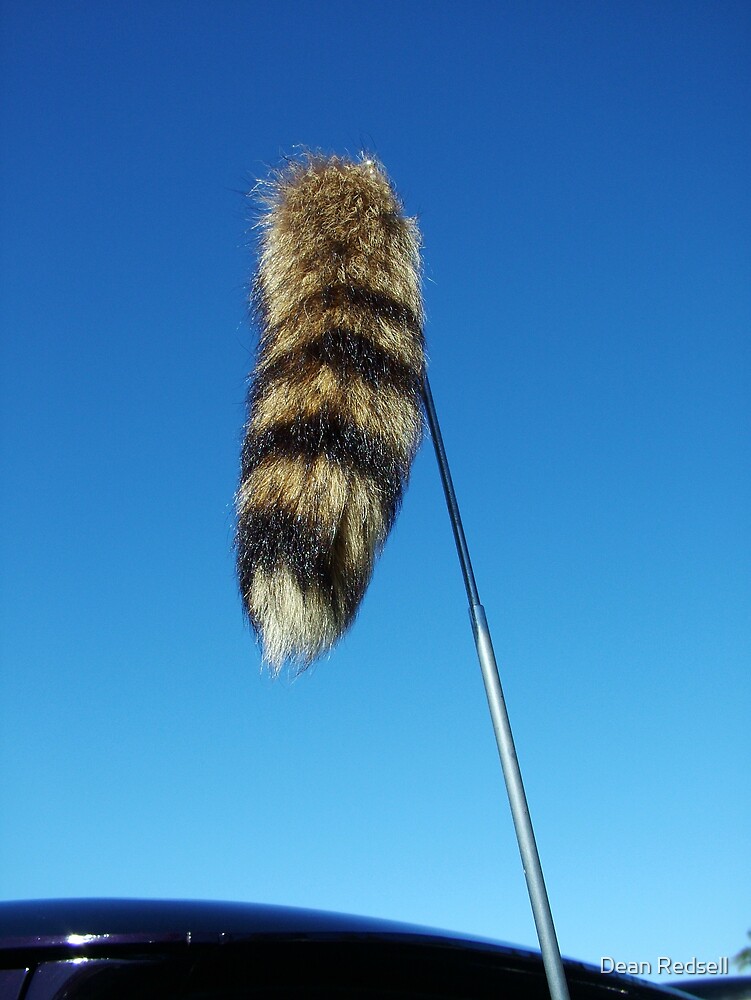"Hot Rod Fox Tail" by Dean Redsell | Redbubble