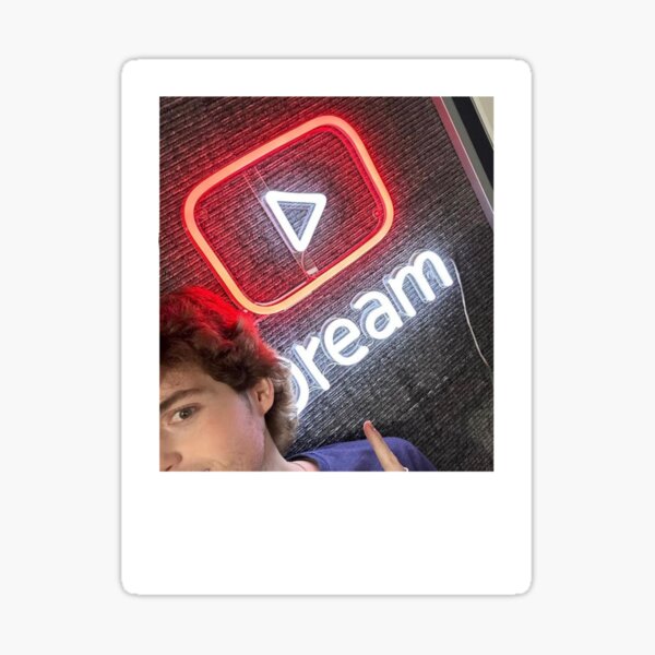 "Dream Face Reveal One" Sticker for Sale by sootsrsly | Redbubble