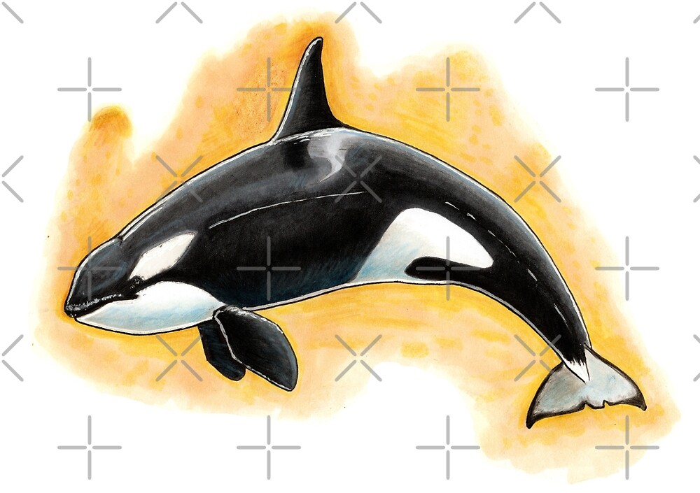 "Orca underwater yellow background" by DutchOrca | Redbubble