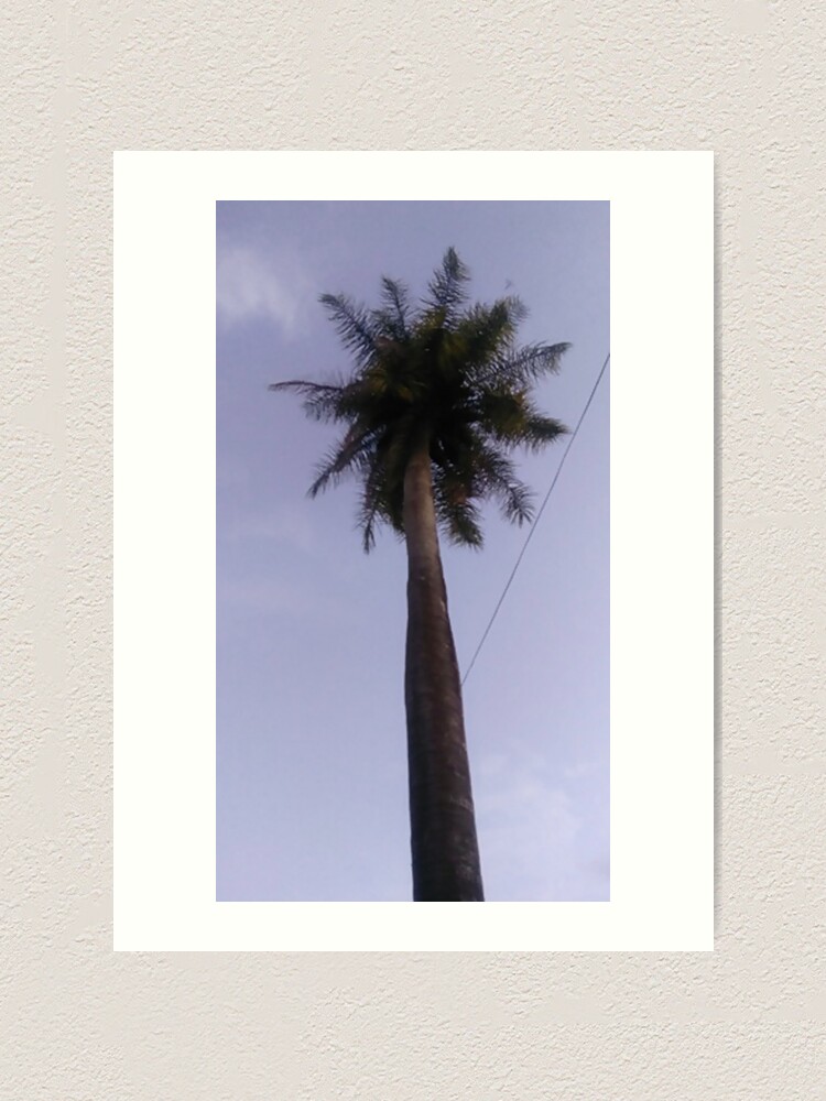 "Palm Tree Next To Electrical Wire" Art Print for Sale by SterlinHS2021 ...