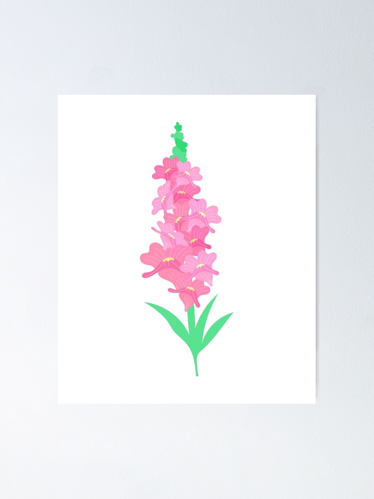 "pink snapdragon flowers vintage" Poster for Sale by amine97 | Redbubble