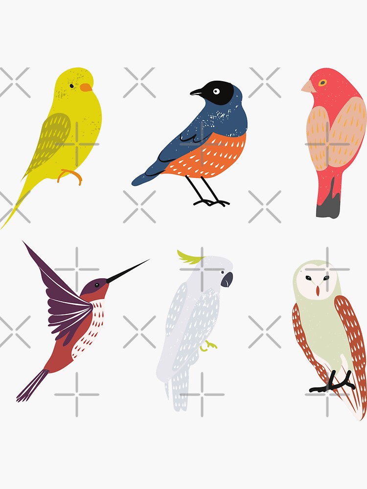 "Cute birds sticker pack" Sticker for Sale by beskrajem | Redbubble