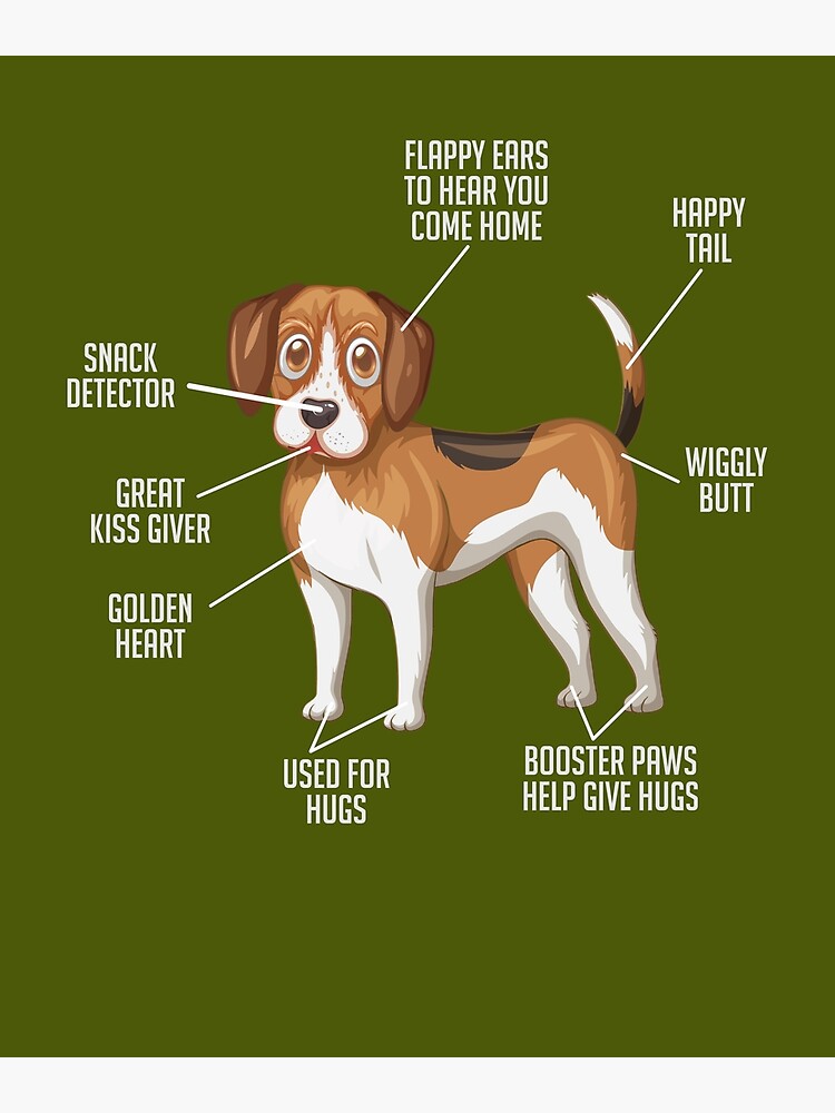 Póster «Usos de partes del cuerpo del perro: instrucciones para perros ...