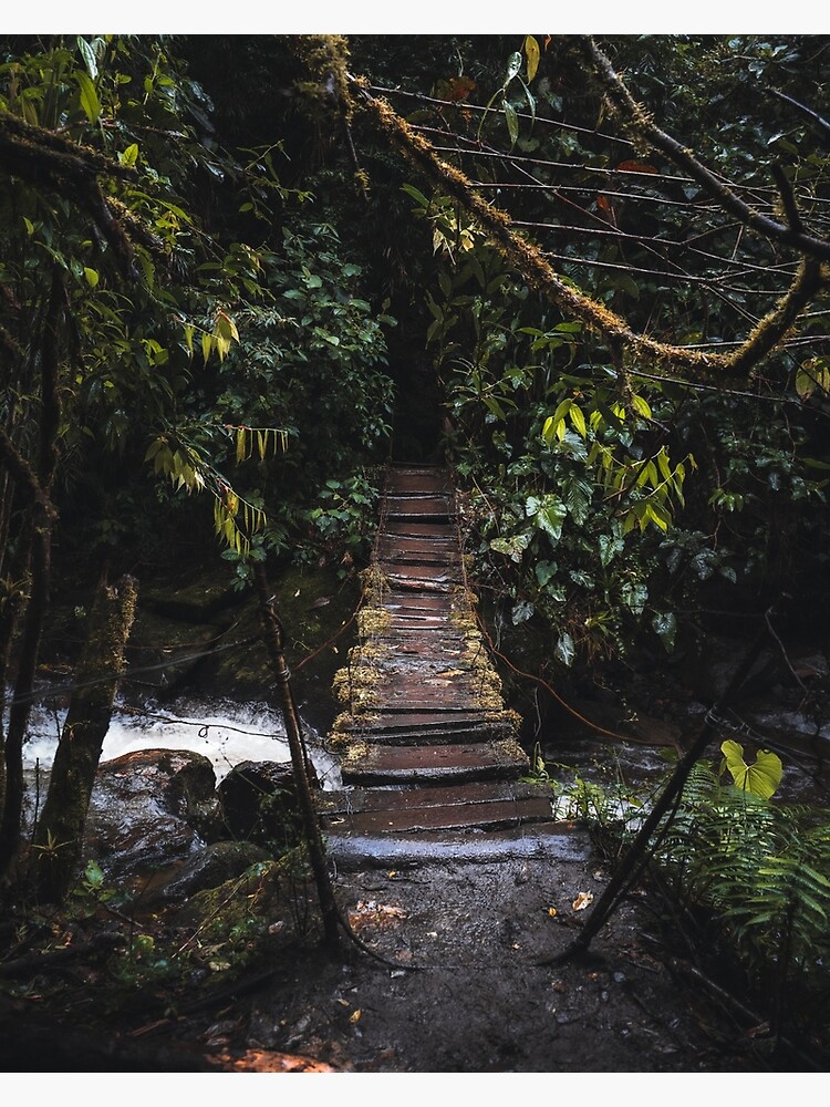 "Dangerous jungle bridge, Salento - Colombia" Poster for Sale by ...