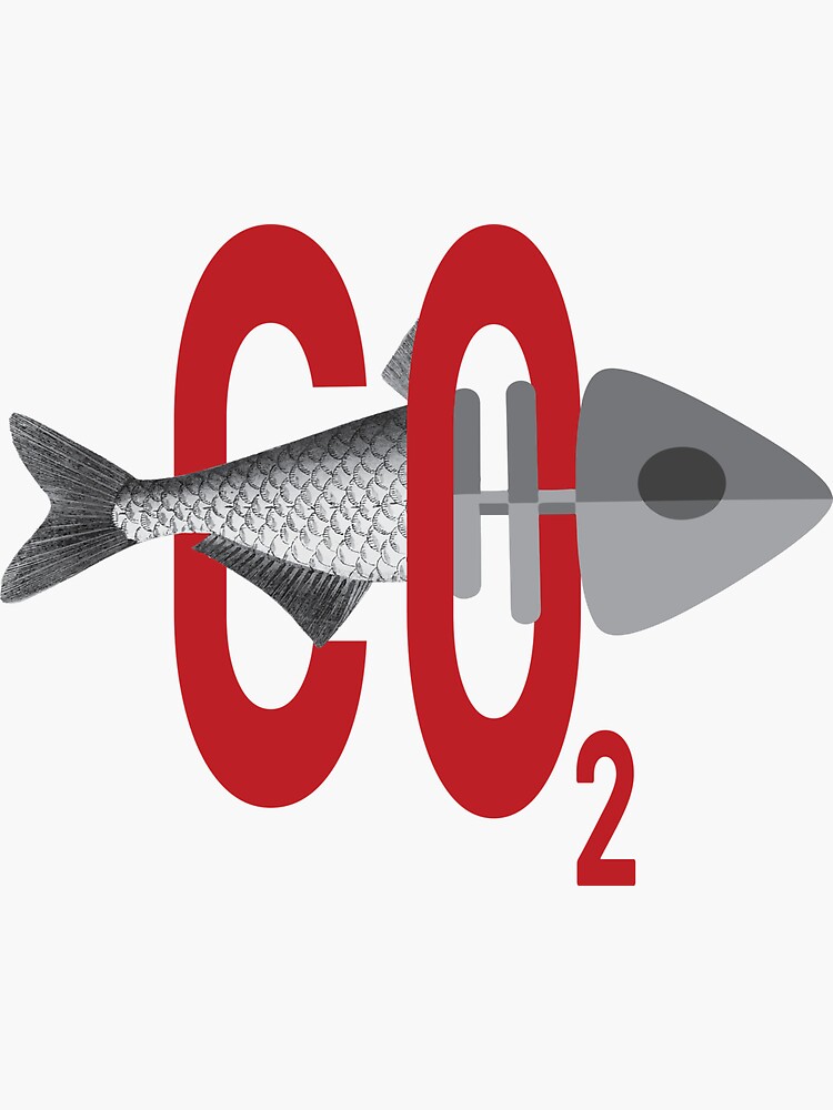 "CO2 (emissions)" Sticker for Sale by Mitroi | Redbubble